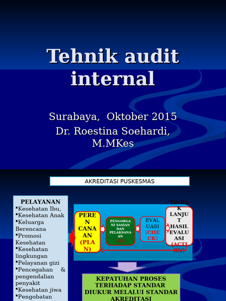 Teknik Audit Internal untuk Puskesmas | PDF