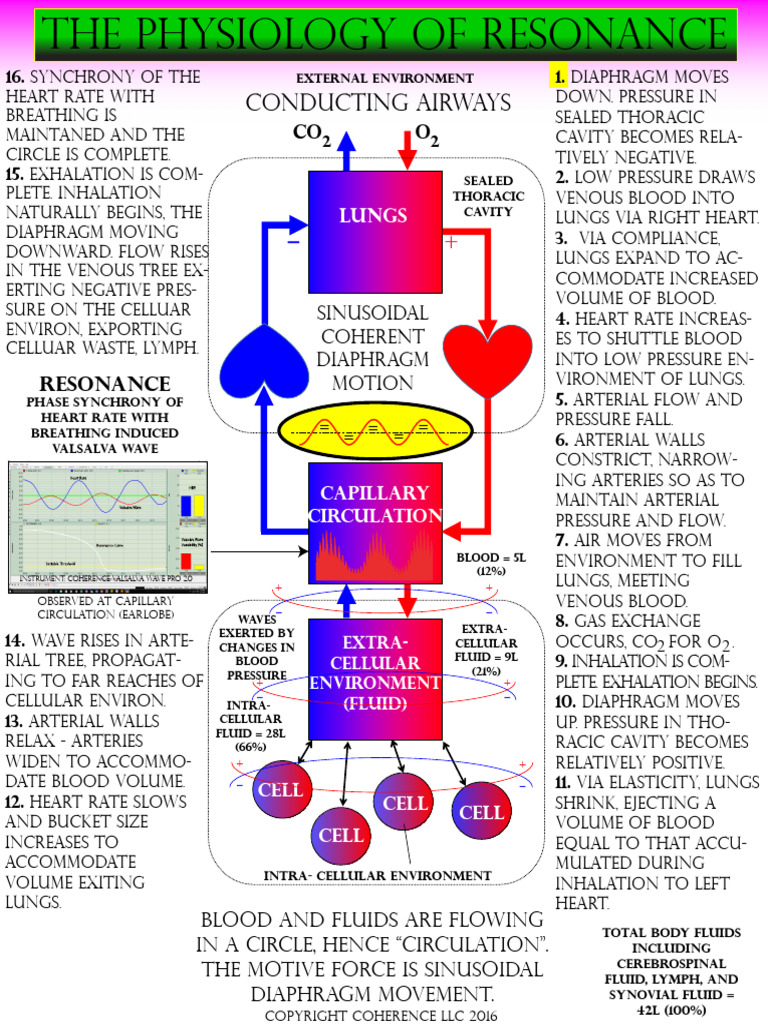 Coherent Breathing - Physiology - of - Resonance - Poster | PDF ...