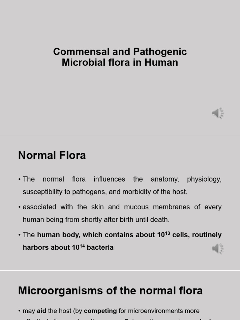 Human Microbial Flora: Commensals & Pathogens | PDF | Skin ...