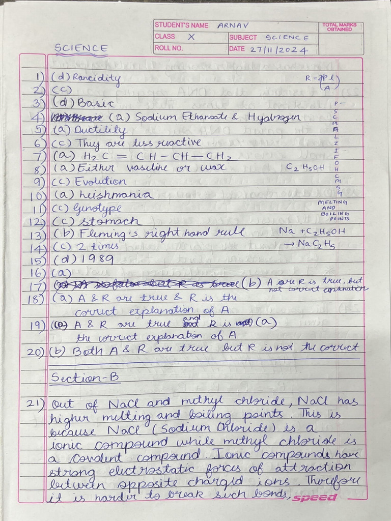 Student Marks Report Template | PDF