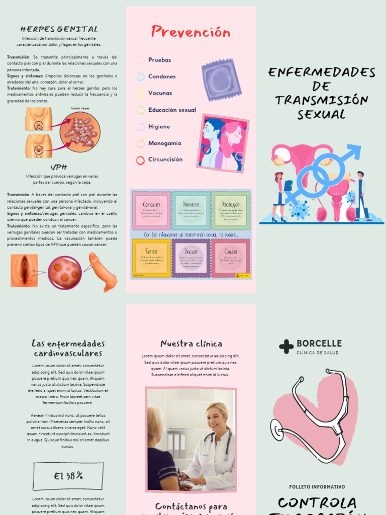 Triptico Enfermedades de Transmisión Sexual | PDF | Infección transmitida sexualmente ...