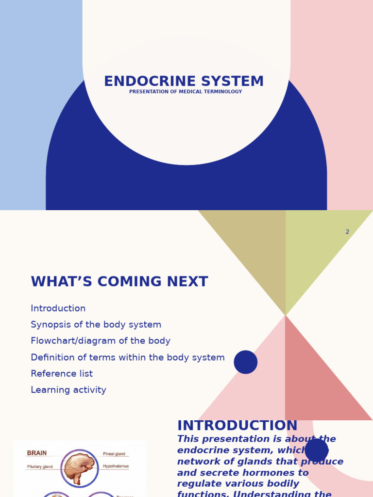Endocrine System Presentation | PDF | Endocrine System | Hormone