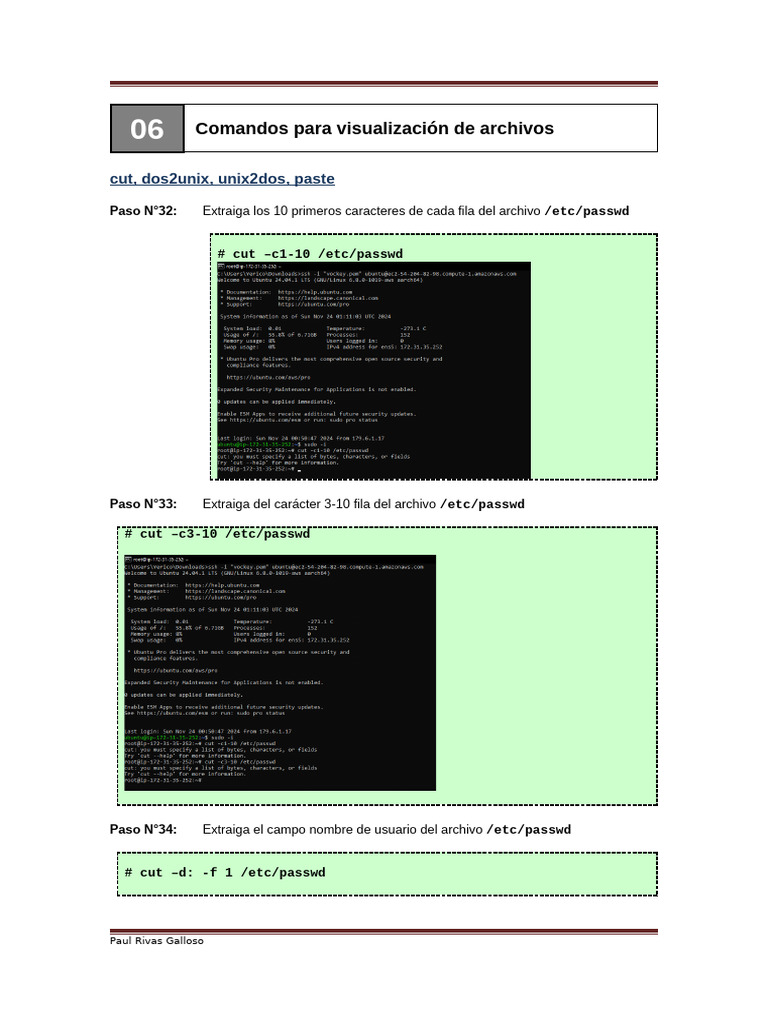 Lab09 - G08 | PDF | Archivo de computadora | Software