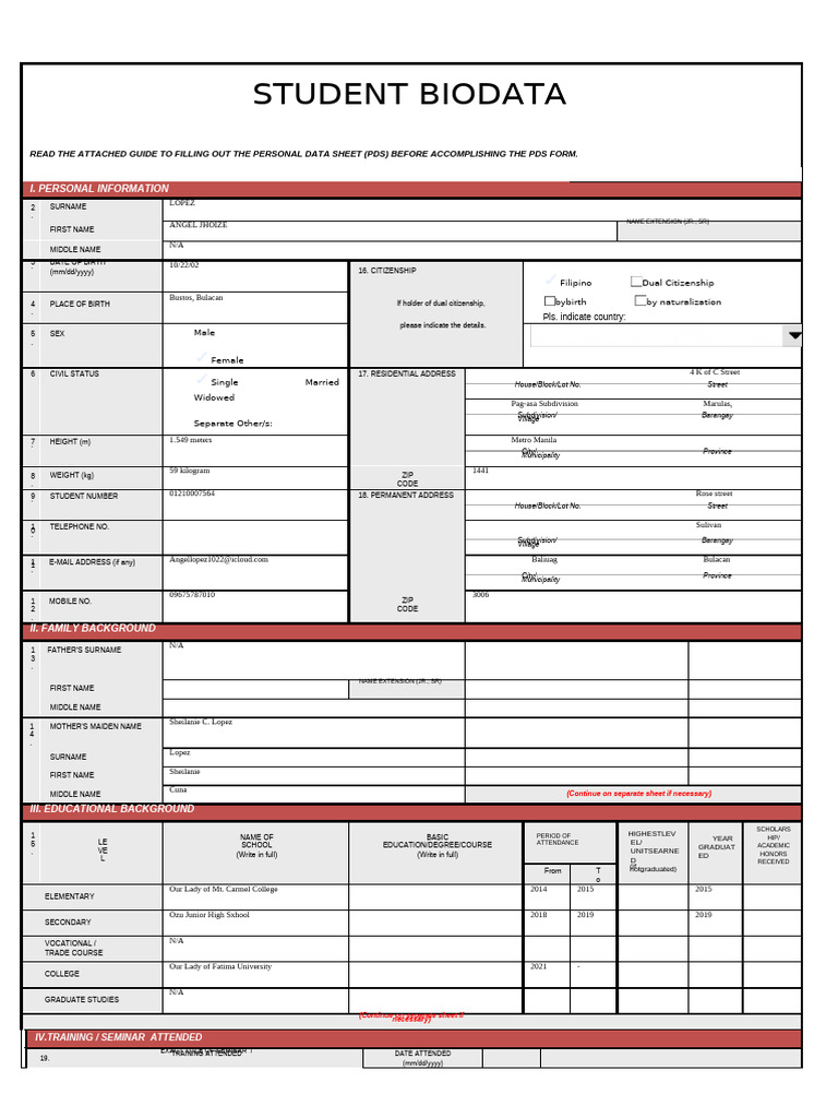 Student Biodata Ito | PDF