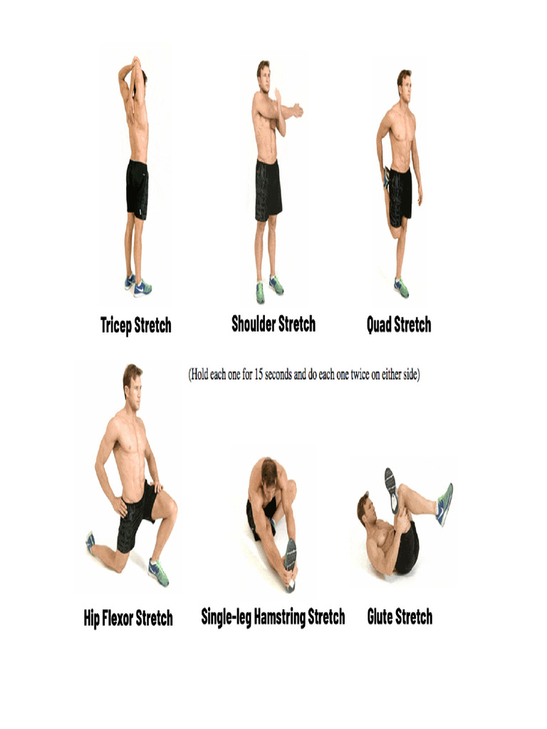 Get Ripped Workout | PDF