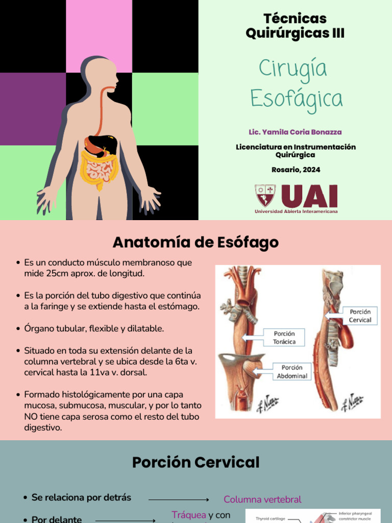 Presentacion - Cirugía Esofágica | PDF | La enfermedad por reflujo ...