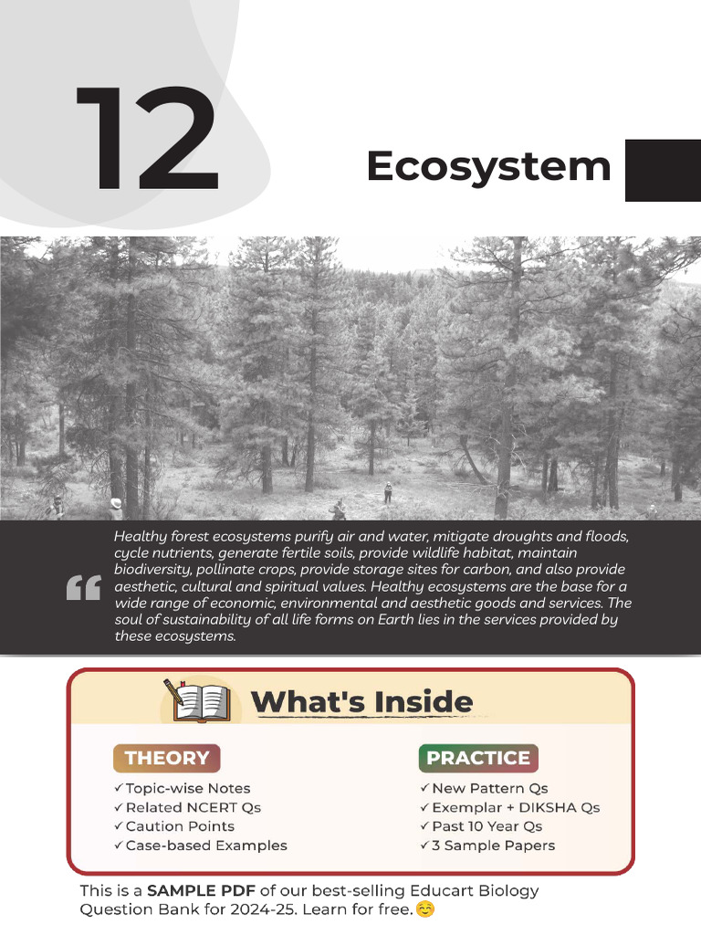CBSE-XII Biology Chap-12 (Ecosystem) | PDF | Ecosystem | Food Web