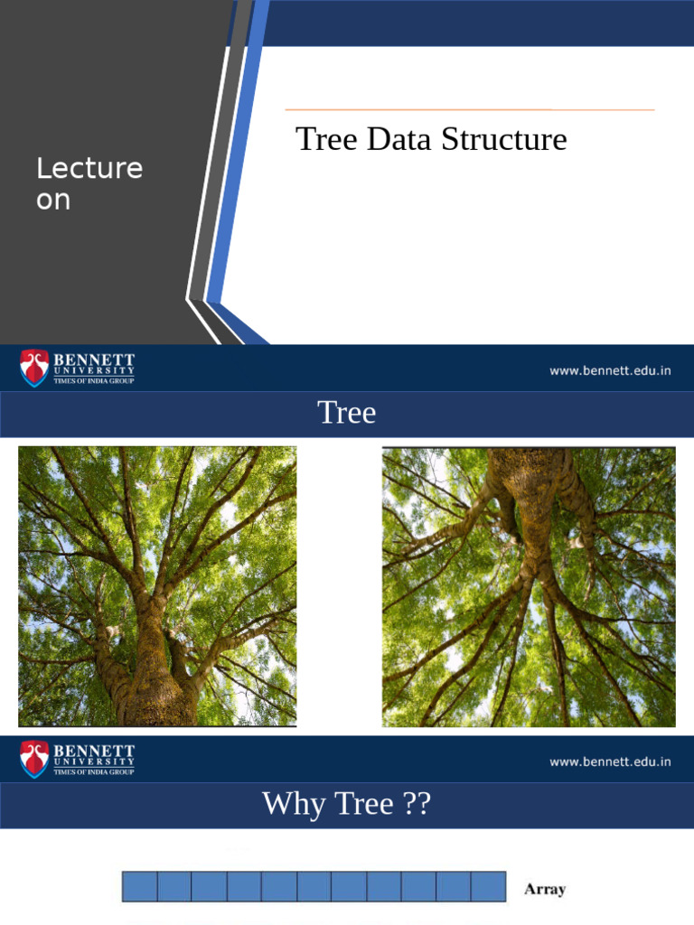 Lecture On Tree | PDF | Algorithms And Data Structures | Computer ... Lecture On Tree | PDF | Algorithms And Data Structures | Computer ...