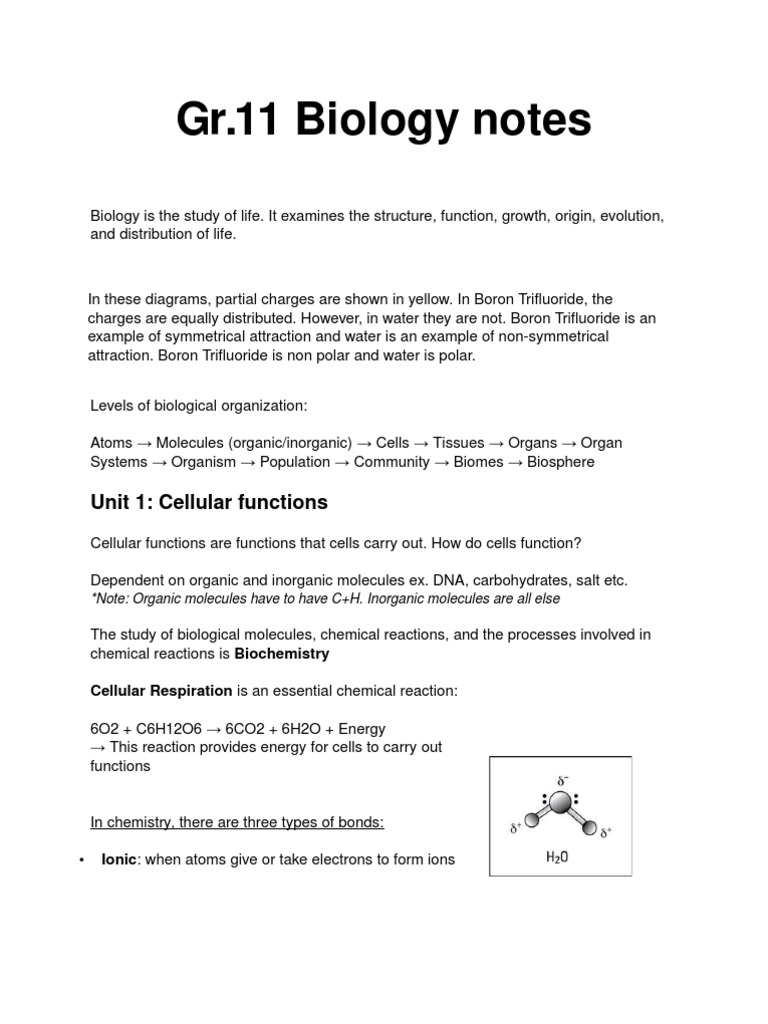 Grade 11 Biology: Cellular Functions Notes | PDF | Cell Membrane ...