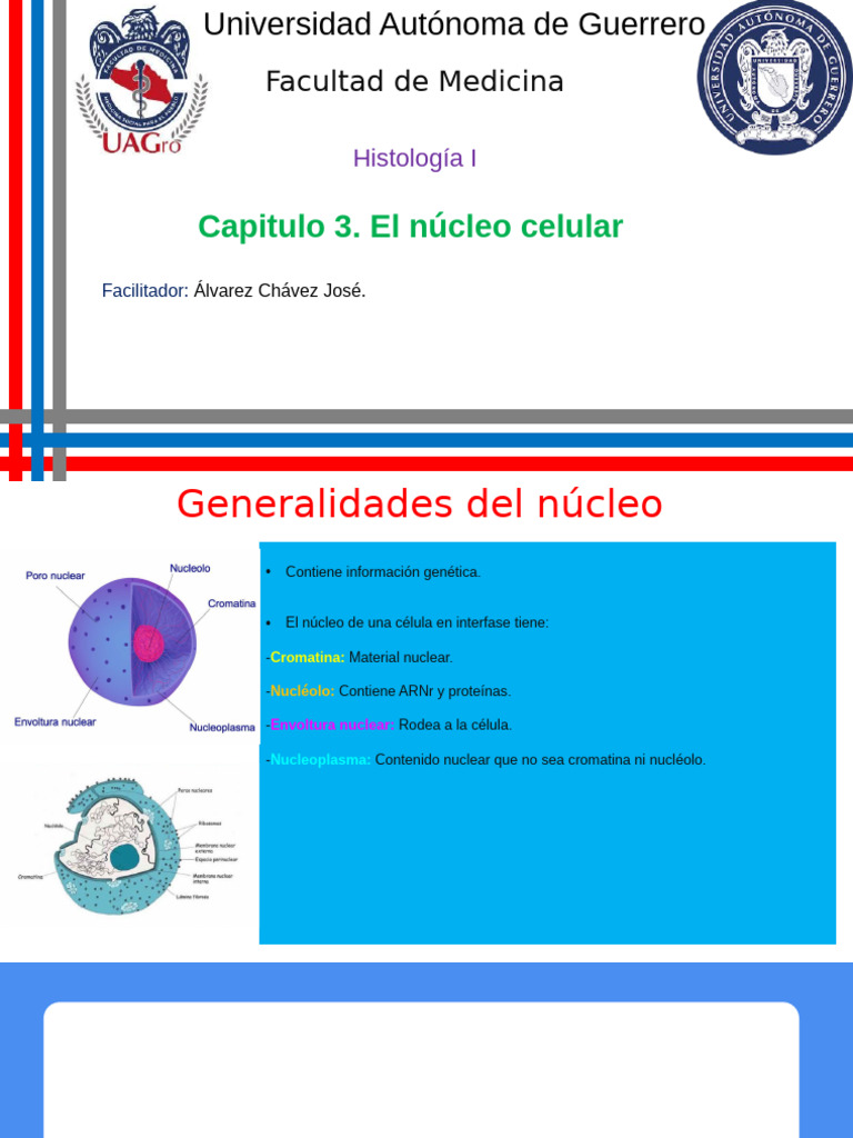Nucleo Celular | PDF | Nucleo celular | Biología Celular