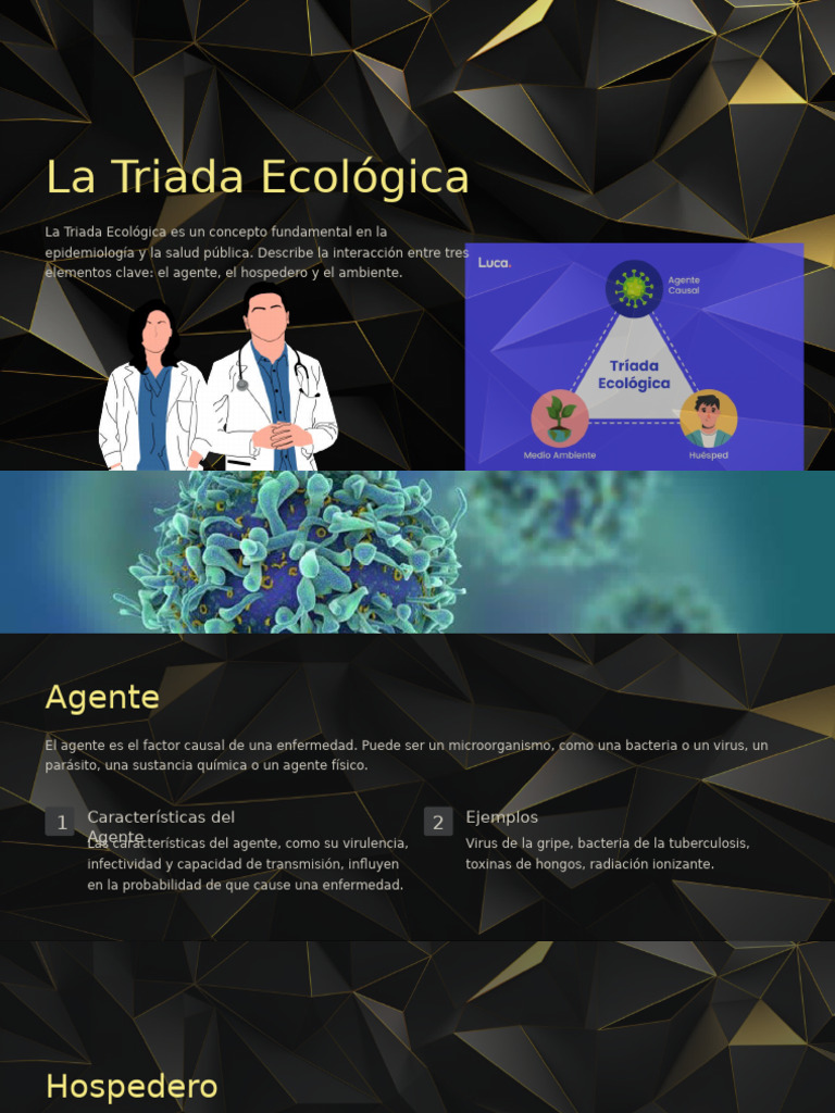 La-Triada-Ecologica - PPTX 20240829 160611 0000 | PDF