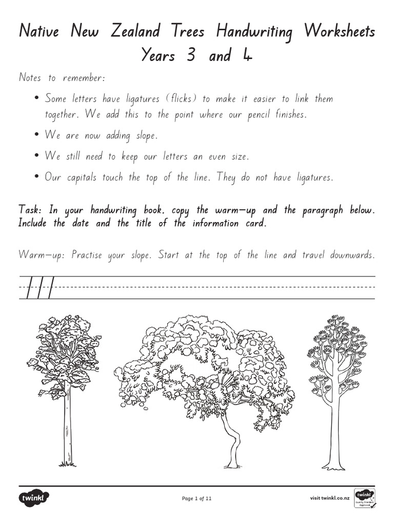 Native New Zealand Trees Handwriting Worksheets | PDF | Plants | Botany