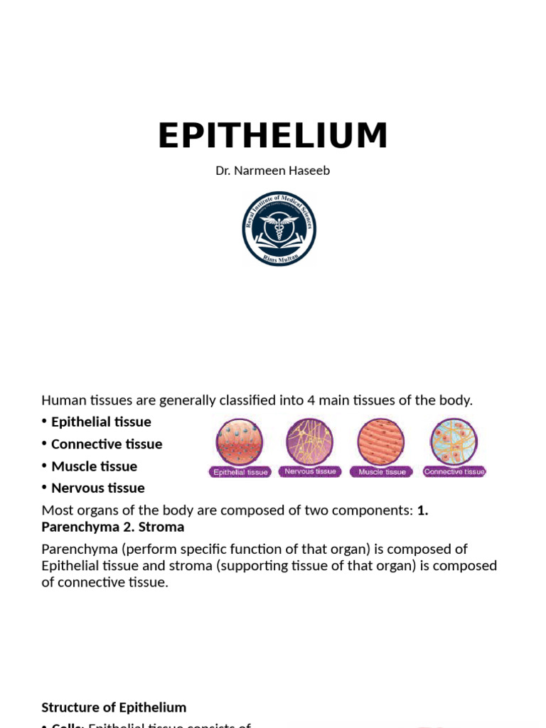 Epithelial Tissue | PDF | Epithelium | Tissue (Biology)