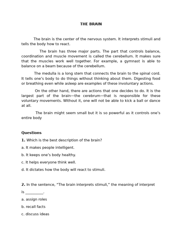 The Brain | PDF