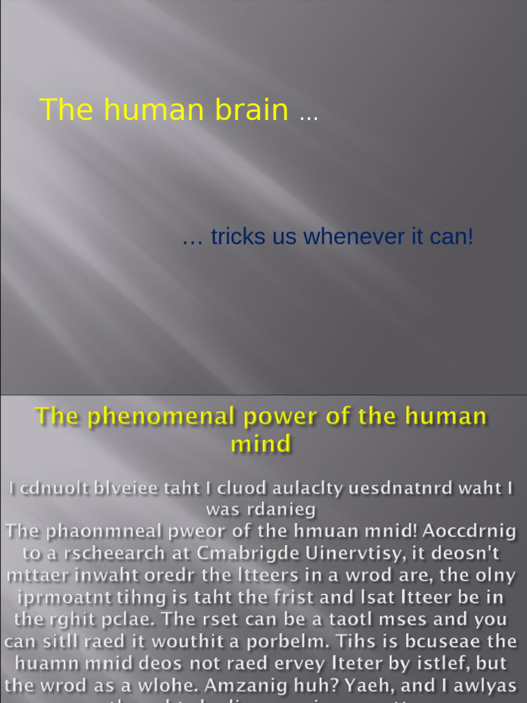 Human Brain Miracles | PDF