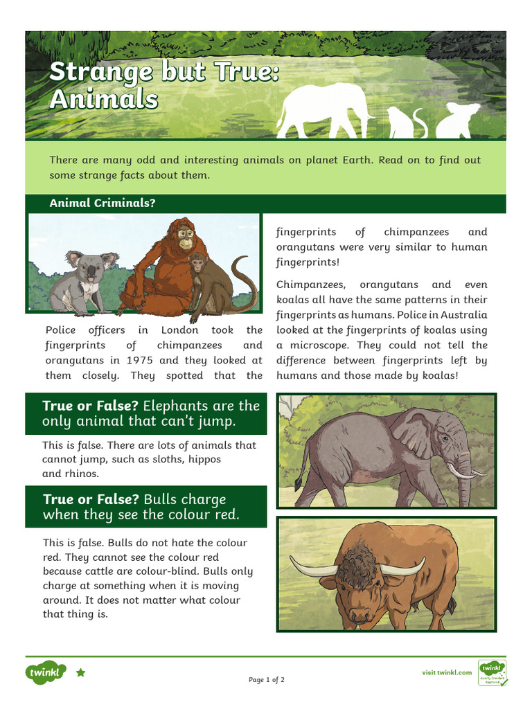LKS2 Strange But True Animals Differentiated Reading Comprehension ...