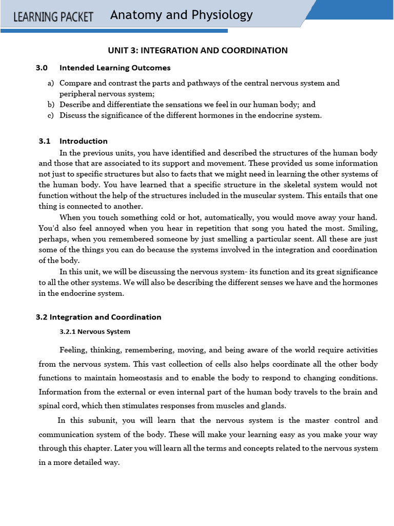 Ap LP3 | PDF | Chemical Synapse | Neuron