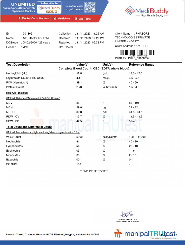 Medibuddy PHLB53908854 PDF | PDF | Thyroid Stimulating Hormone | Alanine Transaminase
