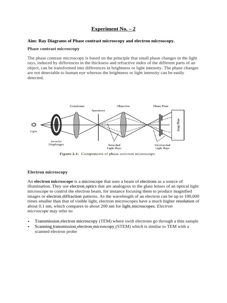 Lab Manual BSC III Sem 2024 | PDF | Microscope | Chromatography
