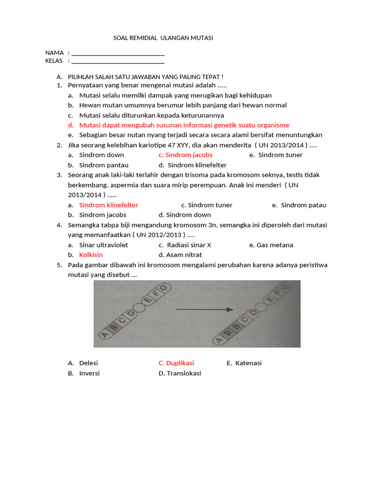 Soal Mutasi Ulangan | PDF