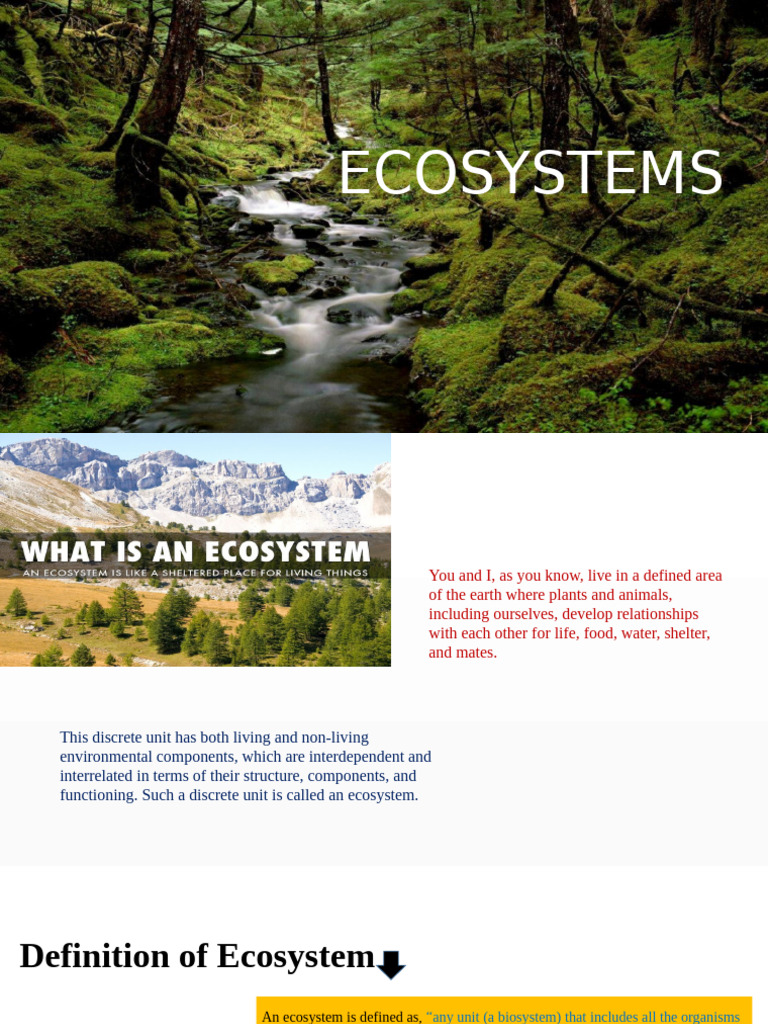 Ecosystem | PDF | Food Web | Ecosystem