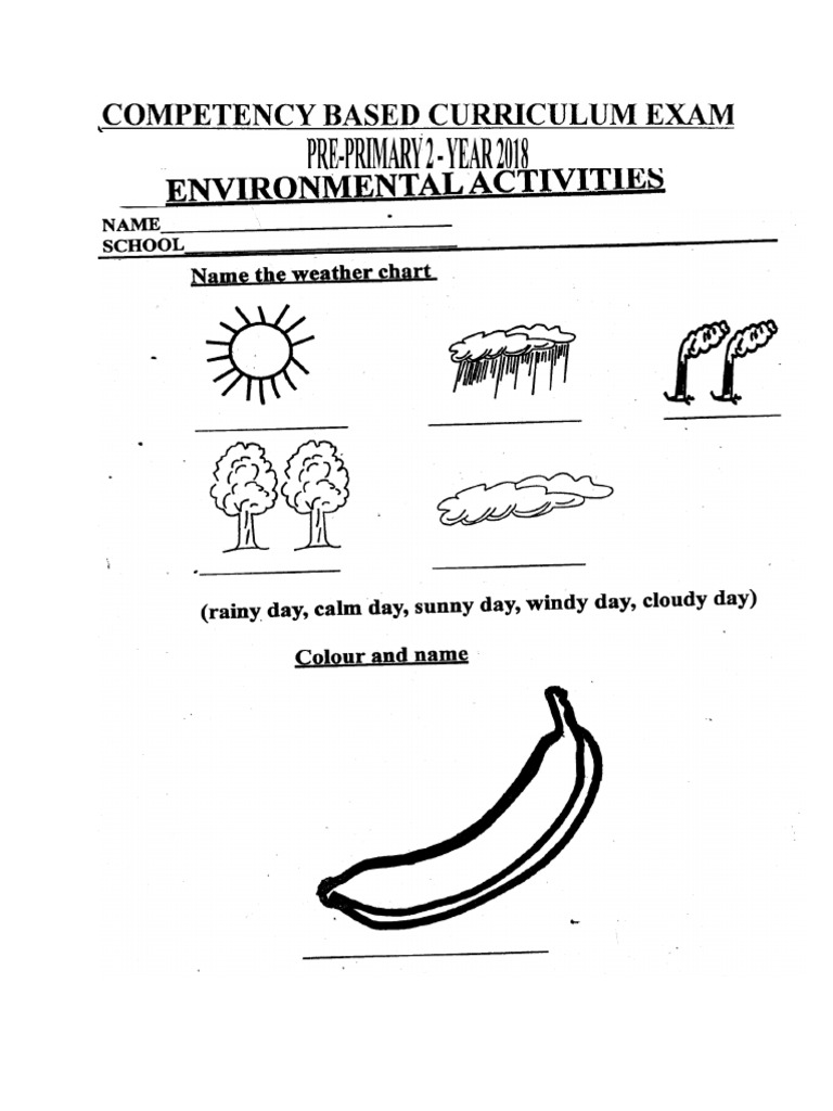 Environmental Activities Pp2 End Term 3 Exam 2018 | PDF