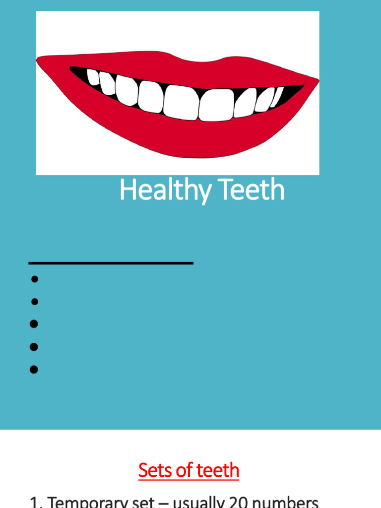 Understanding Teeth for Class 4 | PDF