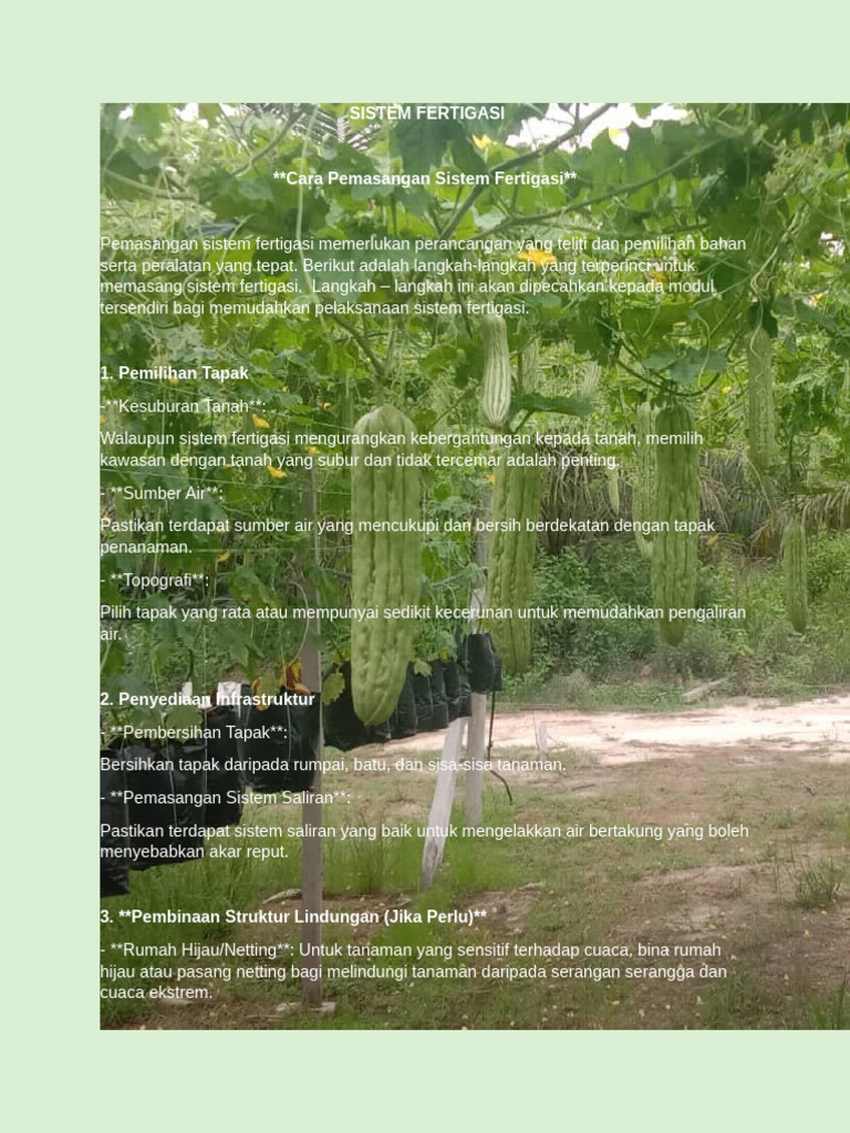 Modul Sistem Fertigasi Cili | PDF