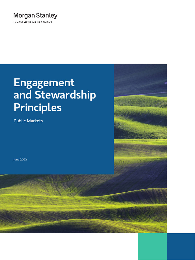 MSIM Engagement & Stewardship Principles | PDF | Bonds (Finance) | Money