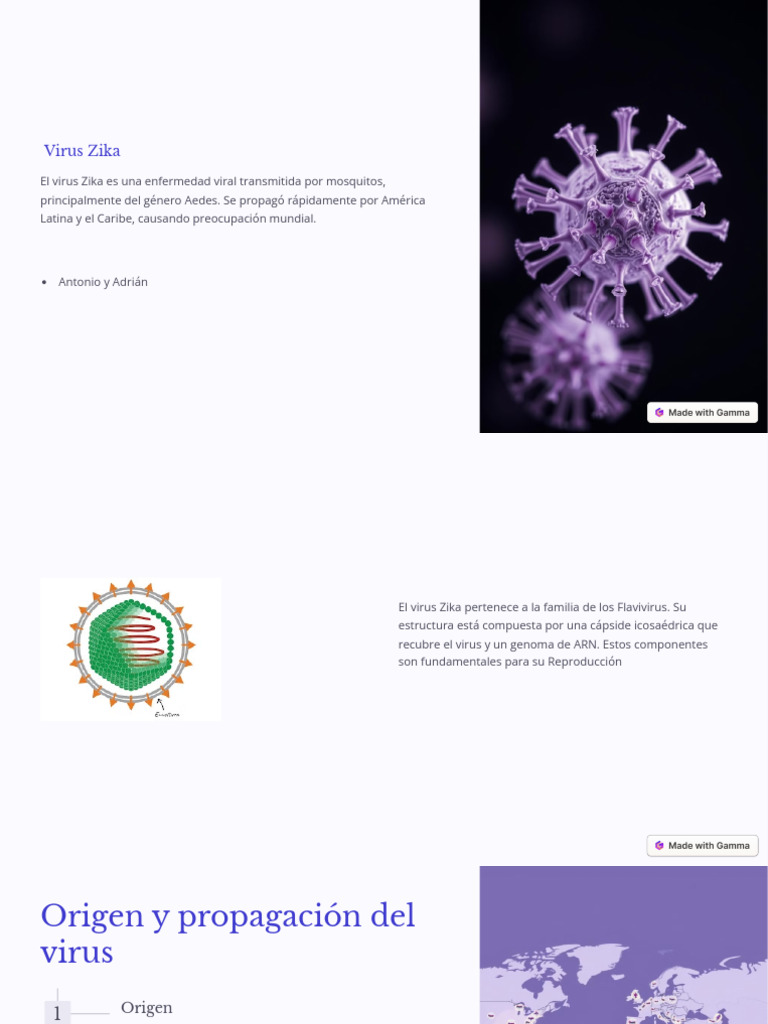 Virus Zika | PDF | Virus Zika | Virus