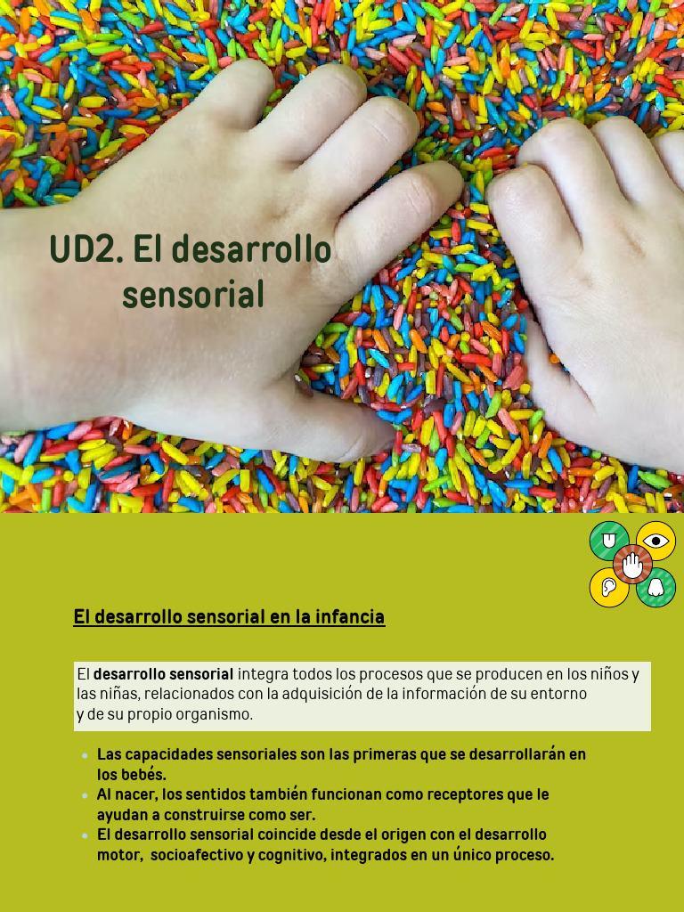 Ud2. DCM | PDF | Percepción | Sentidos