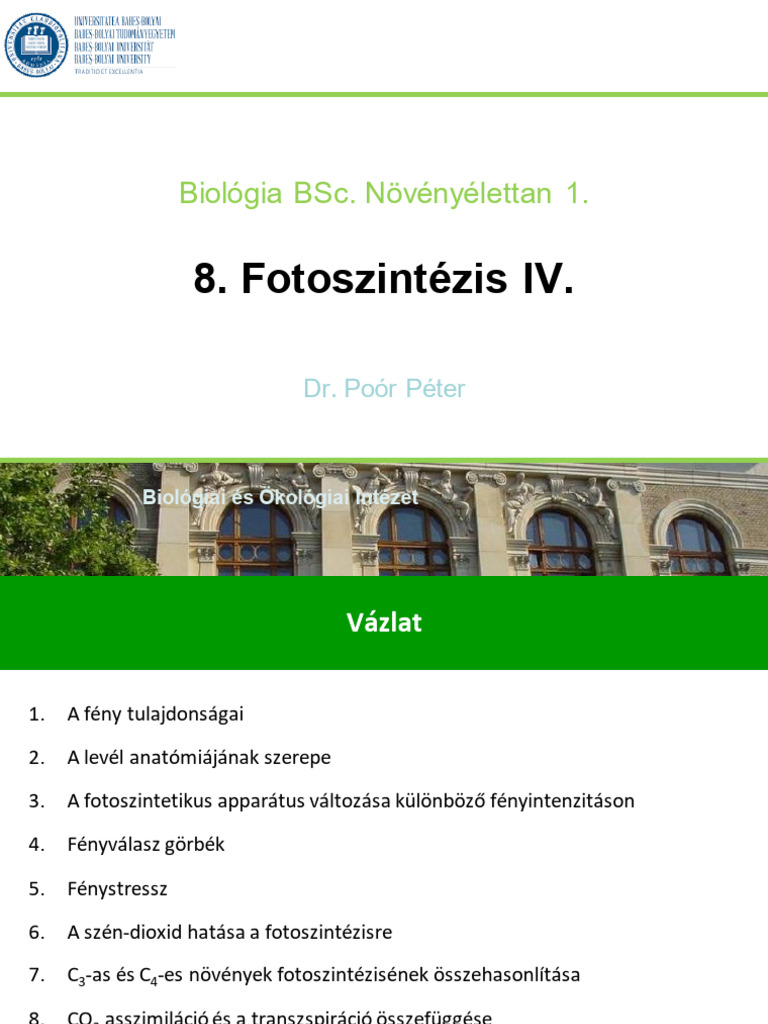 Fotoszintézis IV (Poór Péter) | PDF