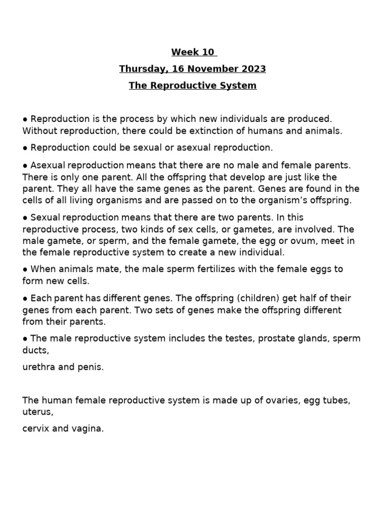 The Reproductive System Yr 6 | PDF
