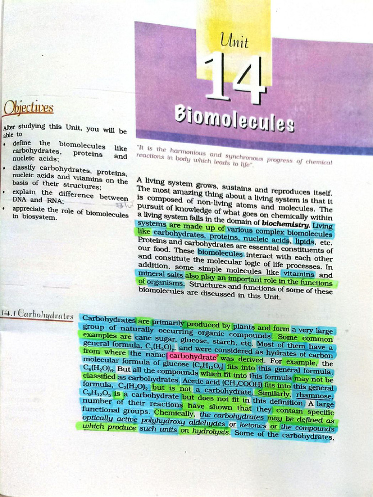 Biomolecules Chemistry Class 12 Part 2 NCERT | PDF