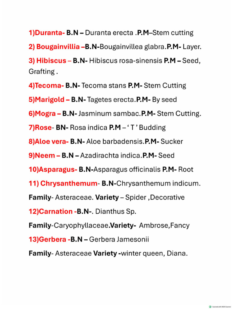 Final HORT Spotting | PDF