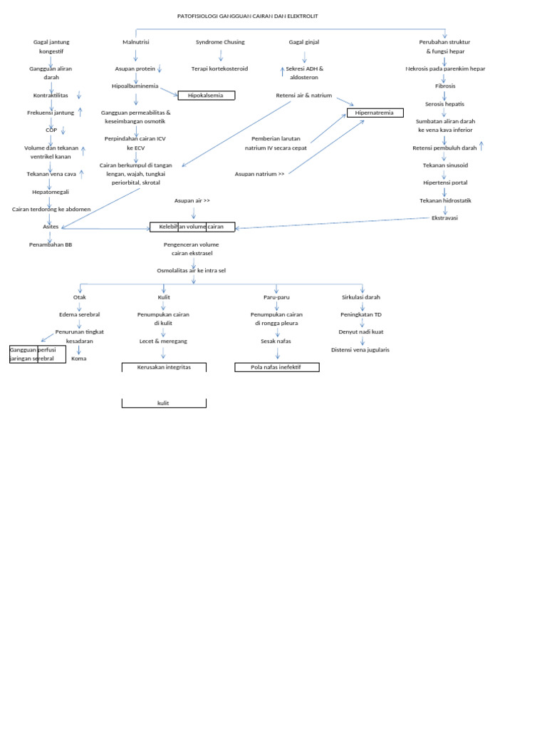Pathway Cairan | PDF