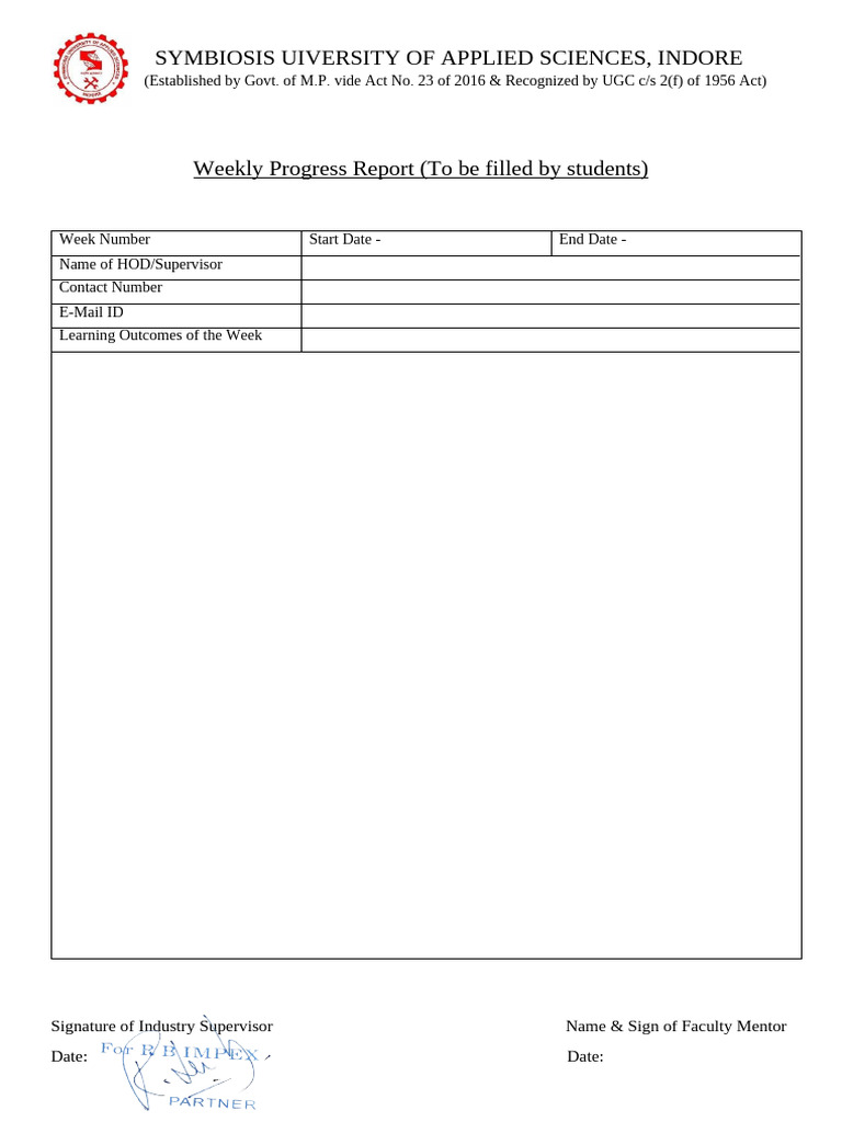 Weekly Intenship Progress Report Format | PDF