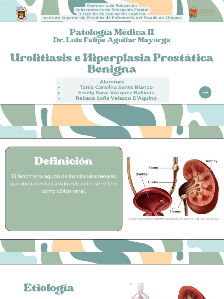 Litiasis y Enfermedades Prostaticas | PDF | Próstata | Urología