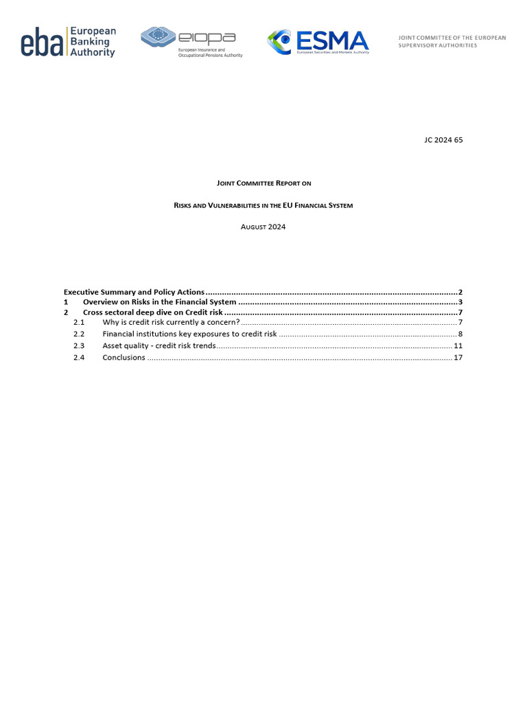 JC 2024 65 - JC Report On Risks and Vulnerabilities 2024 | PDF | Debt ...