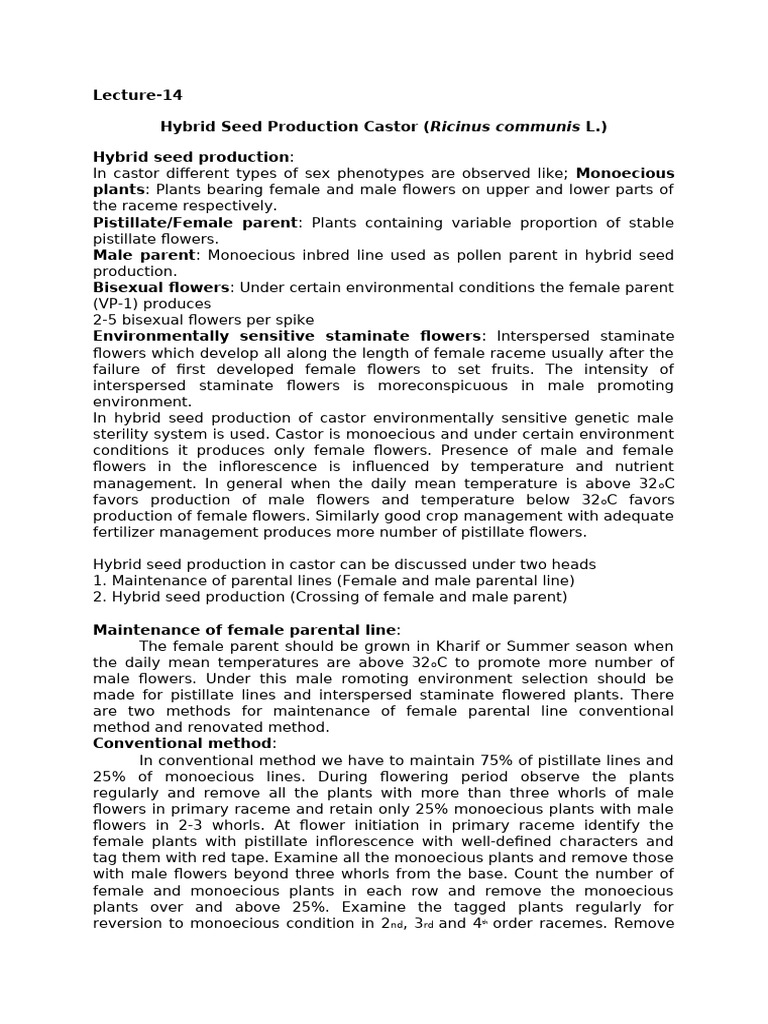 14 Hybrid Castor | PDF | Flowers | Hybrid (Biology)