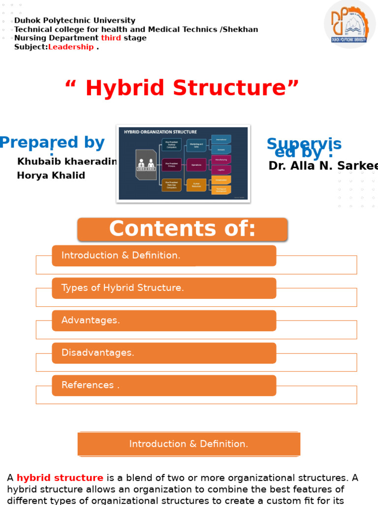 Hybrid Structures | PDF | Organizational Structure | Business