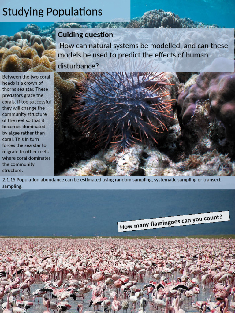 Lesson 4 Studying Population | PDF | Sampling (Statistics) | Coral