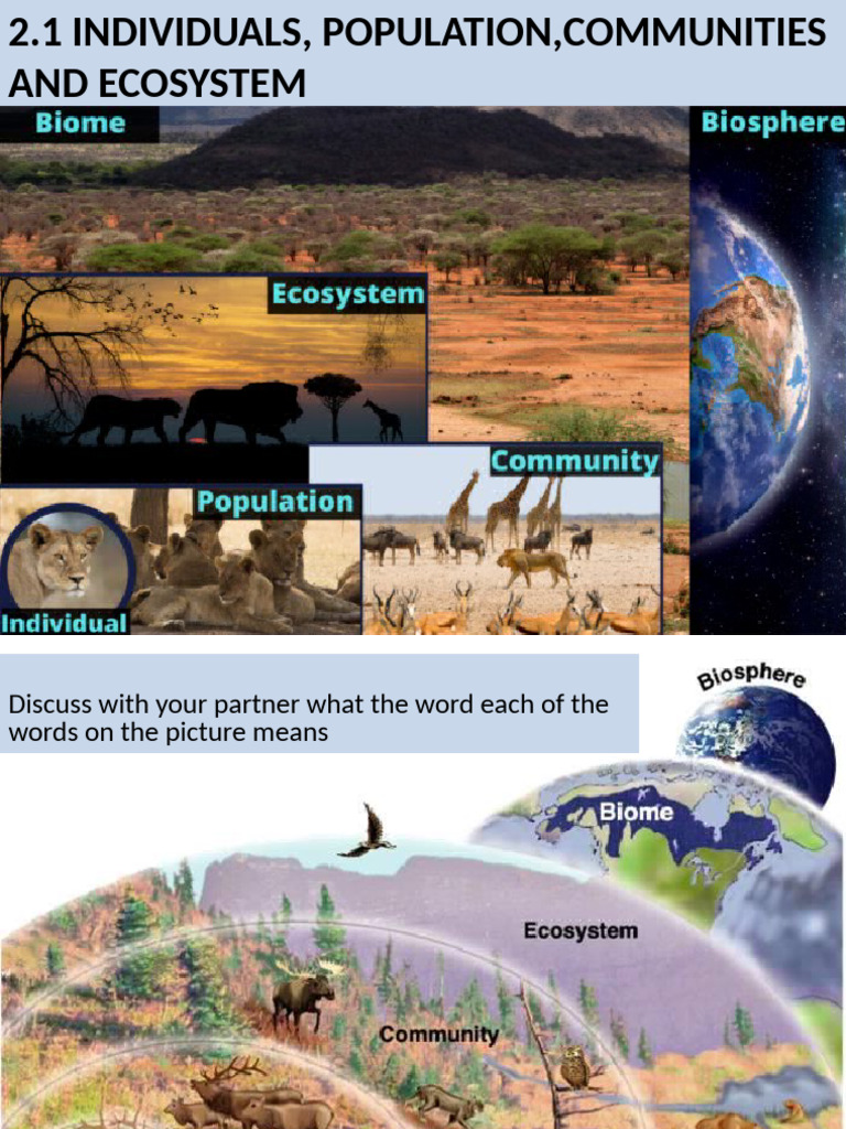 Lesson 1-2.1 Individuals Population Communities and Ecosystems | PDF ...