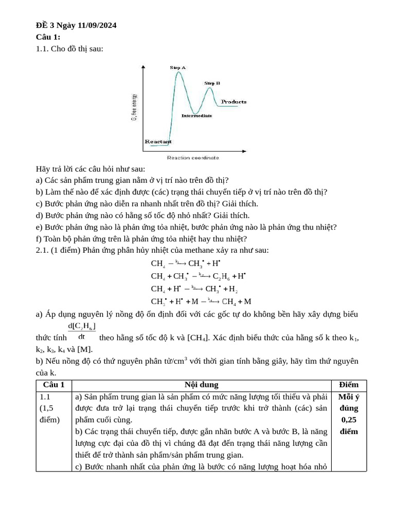 Dapan MonHoa Lop11 HoaBinh | PDF