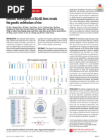 ENVIROPIG | PDF | Genetically Modified Organism | Transgene