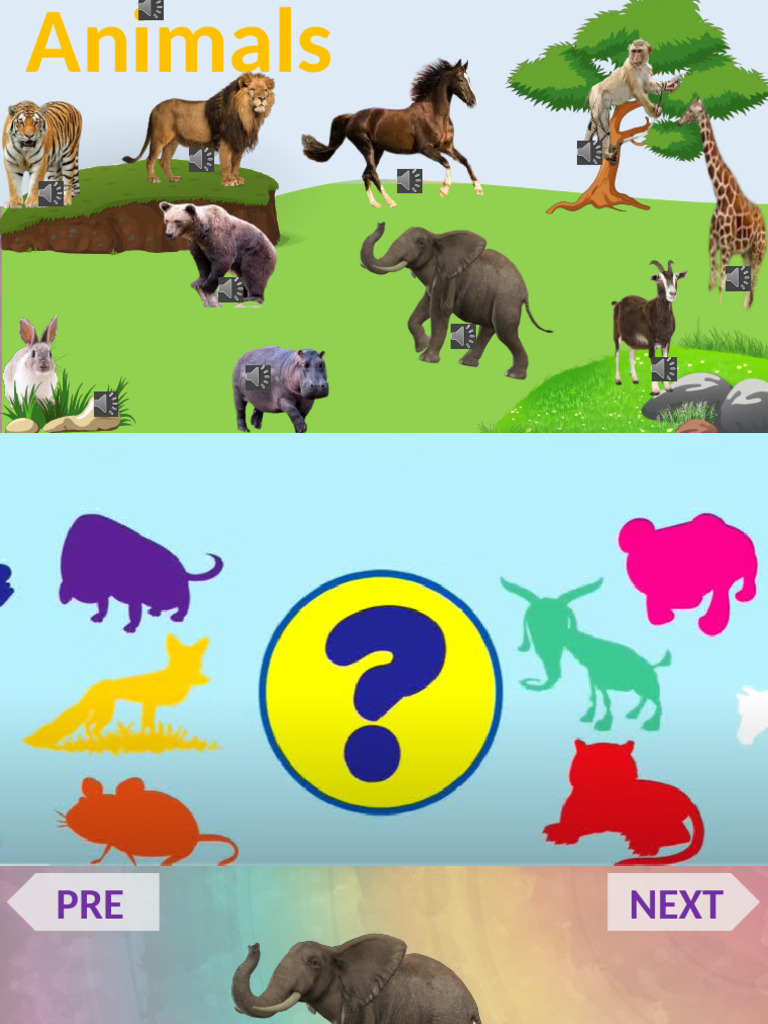 Guessing Animals | PDF