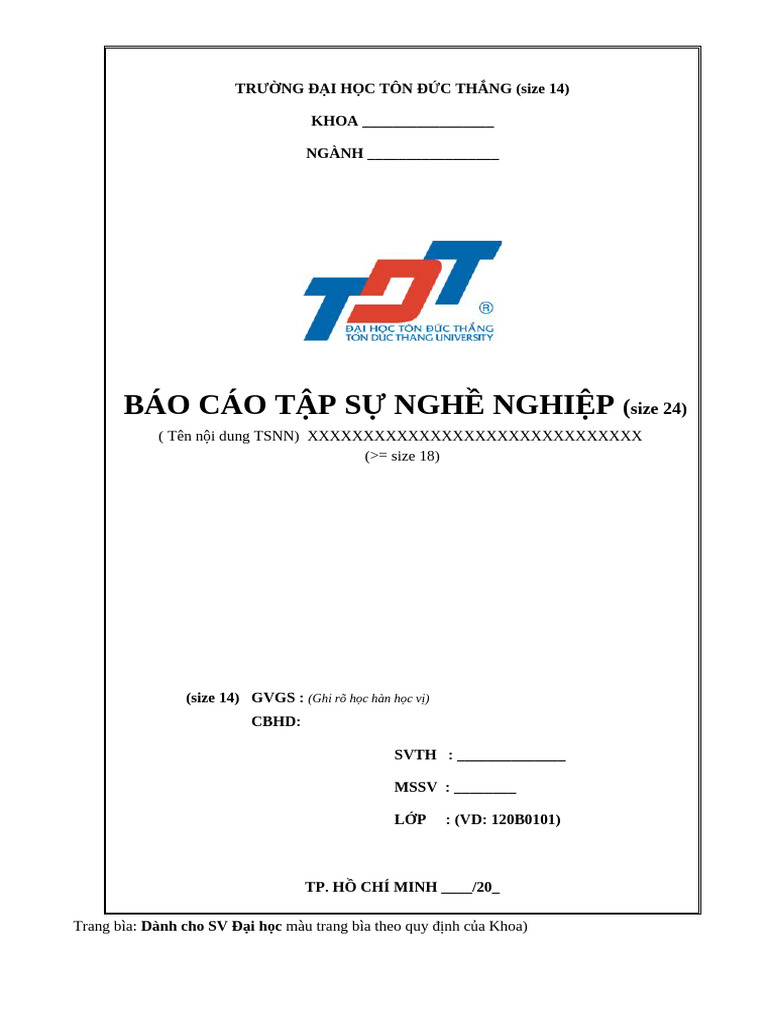 Mau Bieu - Bia Bao Cao TSNN | PDF
