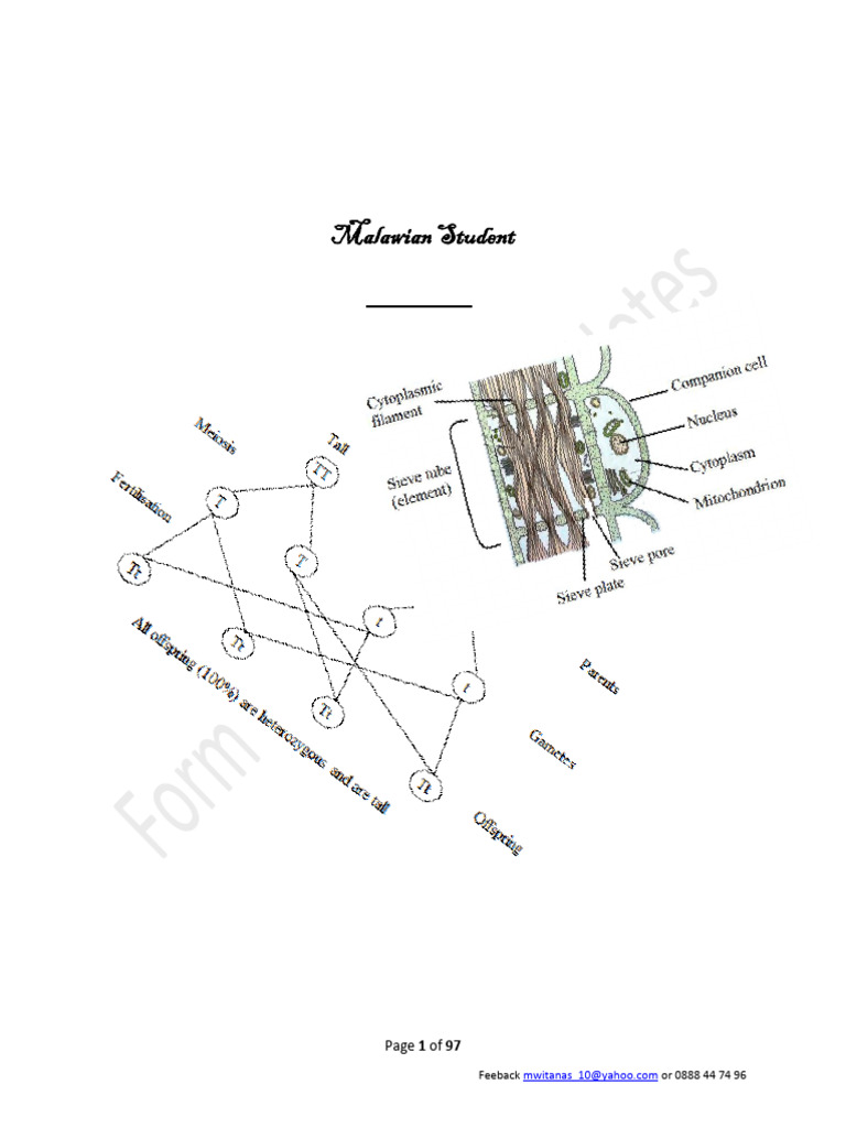 Malawian Form 3 Biology Notes | PDF | Leaf | Stoma