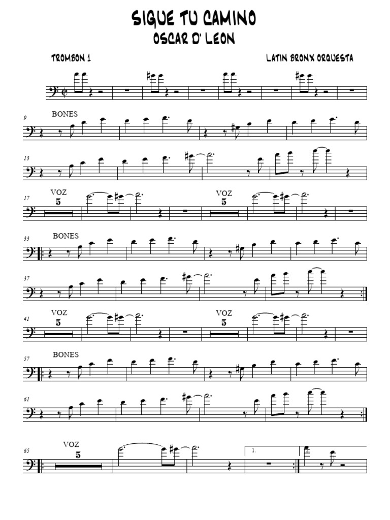 Sigue Tu Camino | PDF