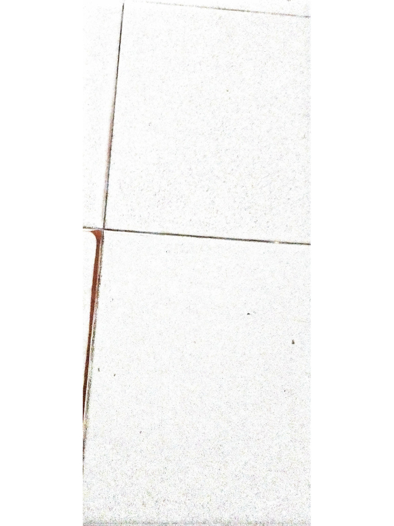 Image To PDF 20241128 16.43.58 | PDF